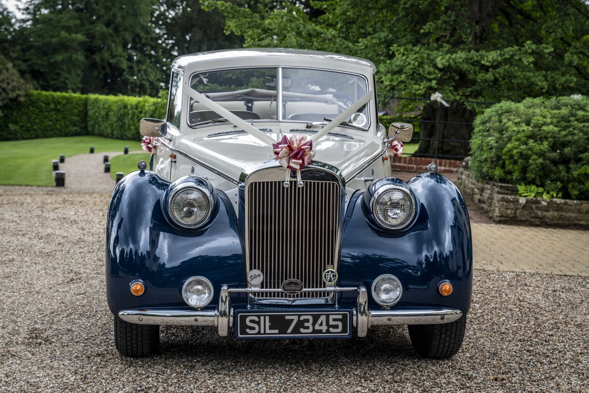 Royale Collection - Royale Owners Club